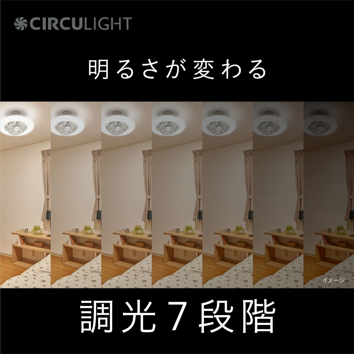 CIRCULIGHT | DOSHISHA Marche