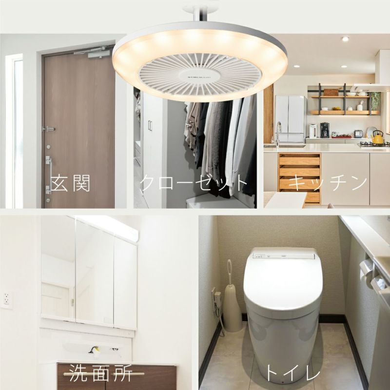 CIRCULIGHT(サーキュライト) ソケットシリーズ E26モデル 電球色タイプ DSLS62LWH 【SH】 | DOSHISHA Marche