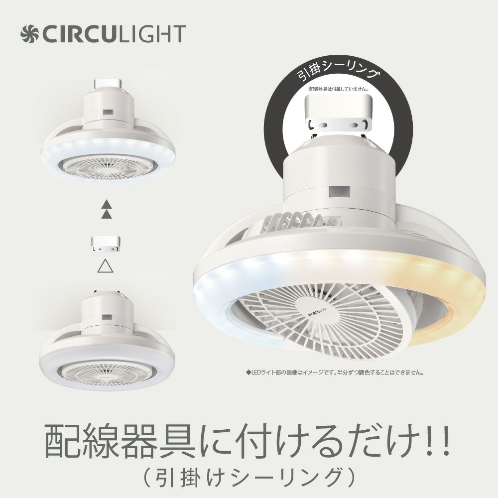 CIRCULIGHT | DOSHISHA Marche