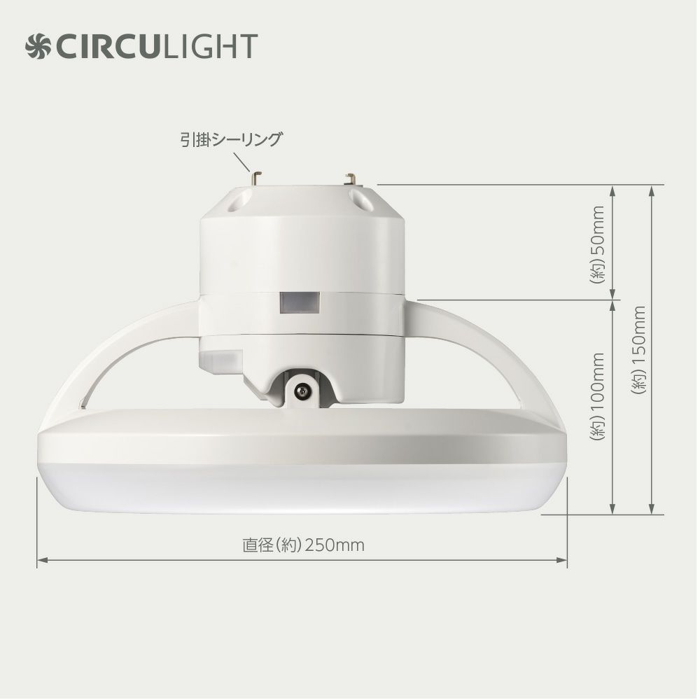 CIRCULIGHT | DOSHISHA Marche