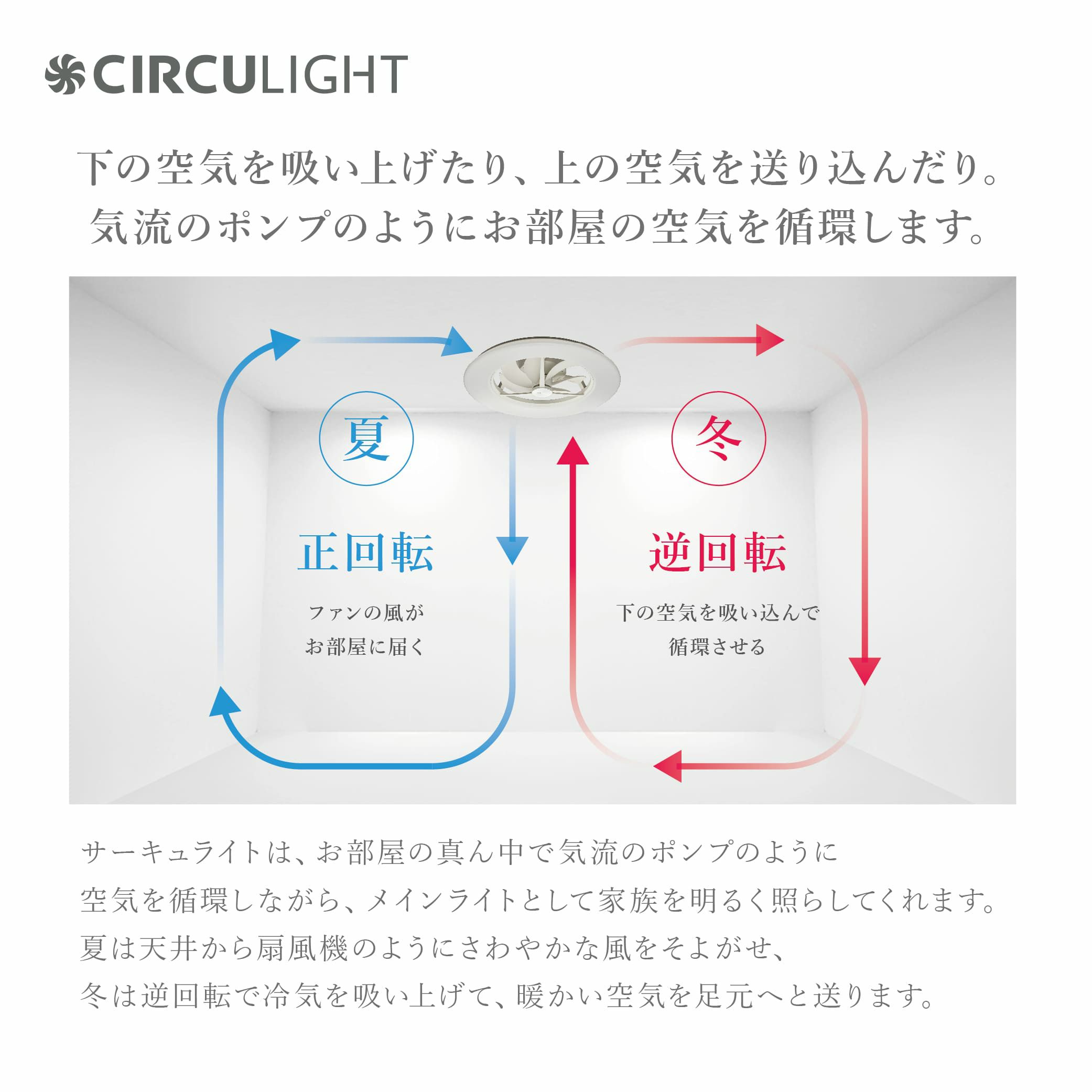 CIRCULIGHT | DOSHISHA Marche