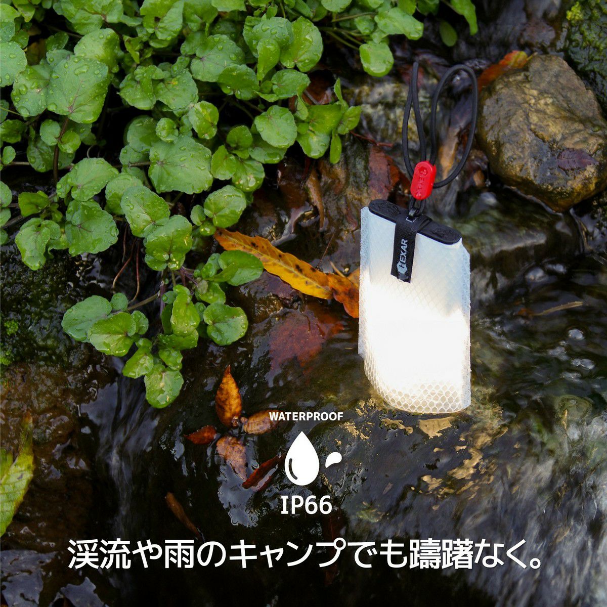 HEXAR | DOSHISHA Marche
