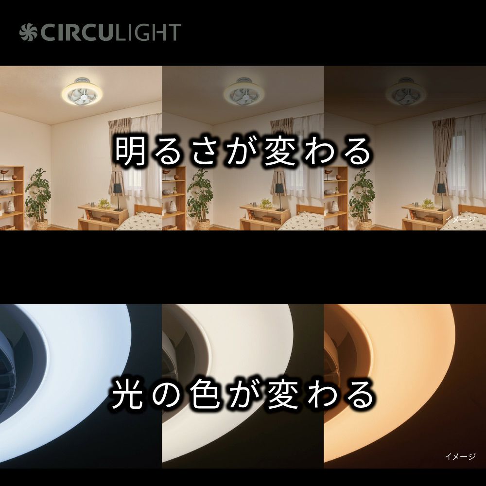 CIRCULIGHT | DOSHISHA Marche